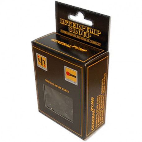 KIT Nº 28 INTERPUMP - Pointaiguaplus S.L.